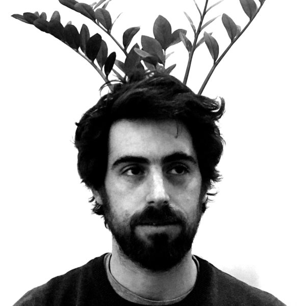 About – Art and Science Connect